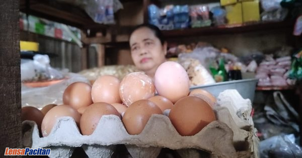 Harga Telur Ayam Ras Dan Cabai Naik Di Pacitan Menjelang Ramadhan ...